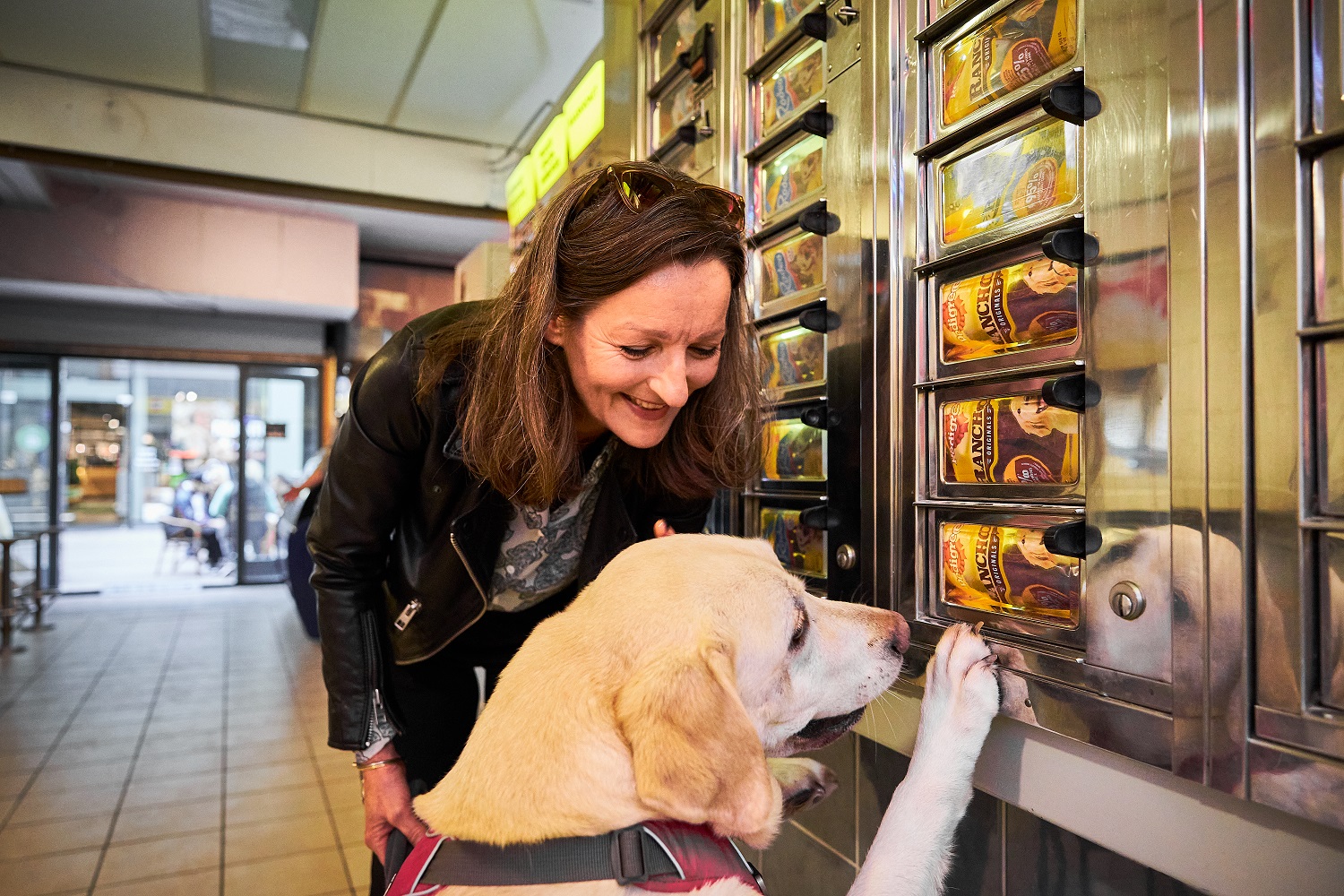 Snackbar en automatiek voor honden in Haarlem - Frituurwereld